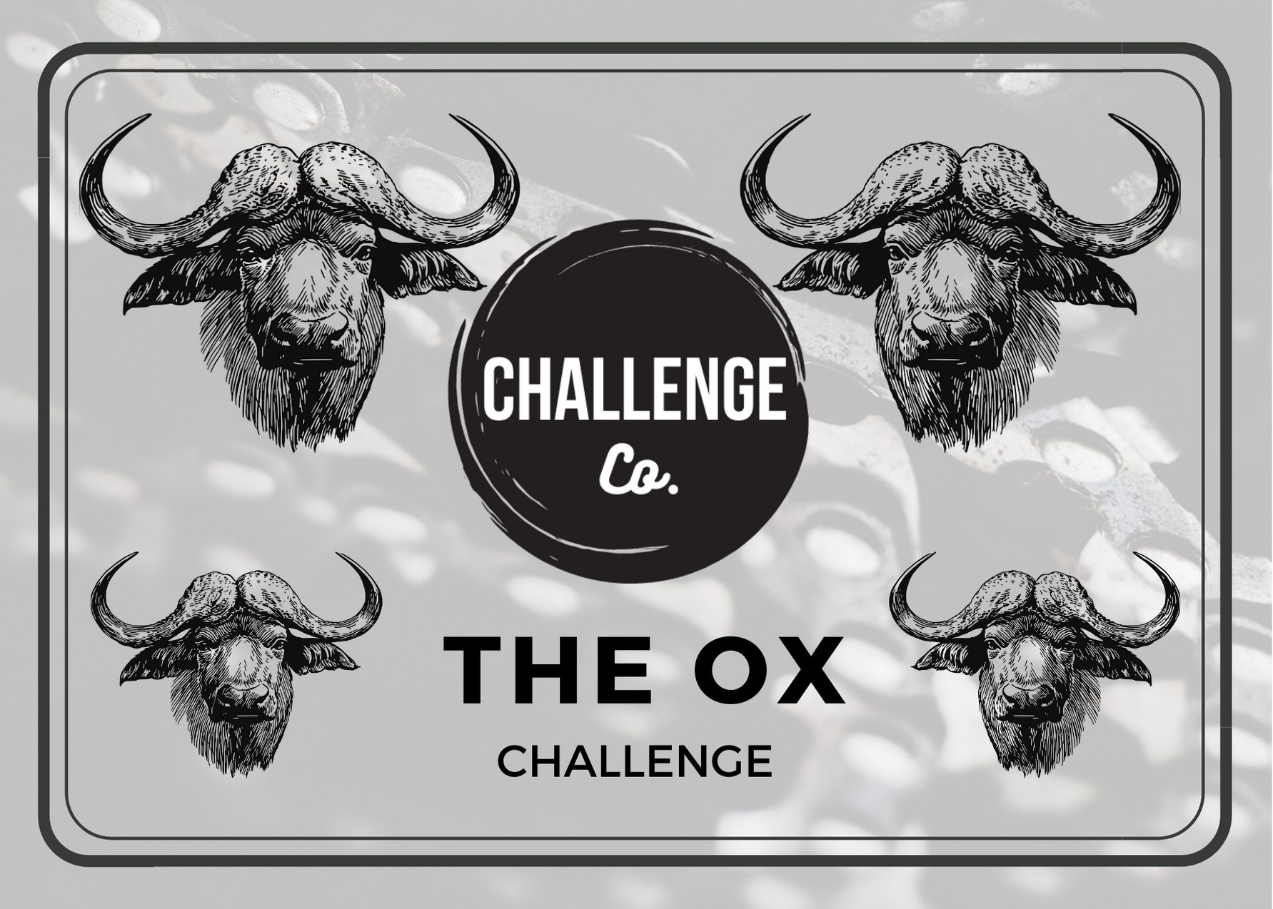The Ox Cycle Challenge - Challenge Co.